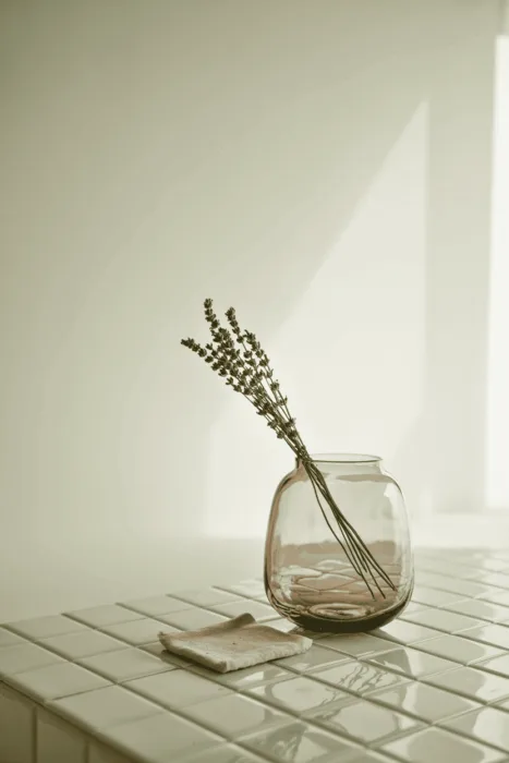 Still Life Photography: 20 Easy Ideas to Practice at Home